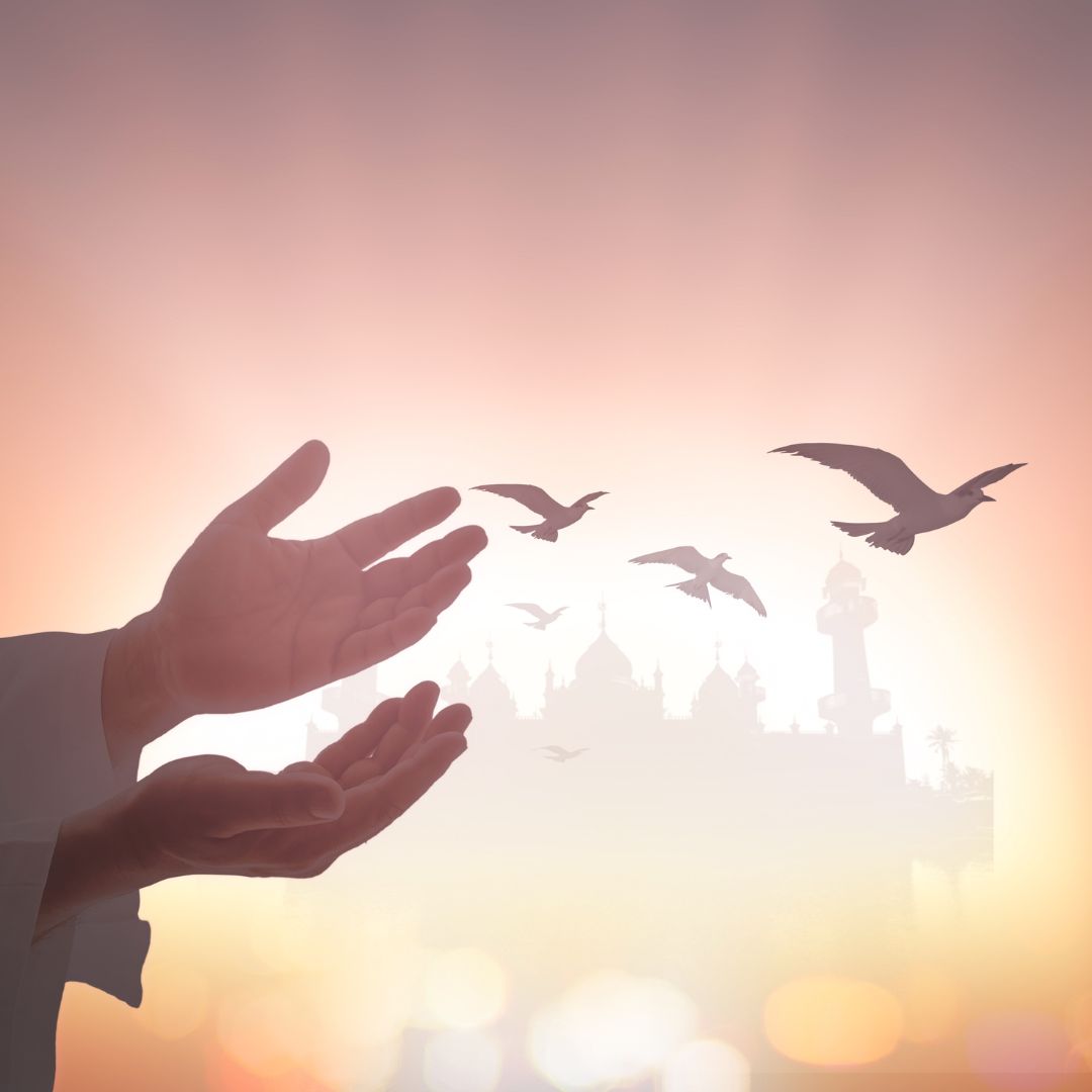 5 Beautiful Promises Made by Allah in the Quran - Darul Quran Academy